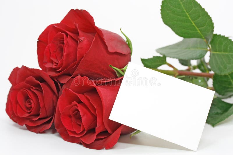 Single Red Rose with Blank Love Note Stock Image - Image of delicate ...