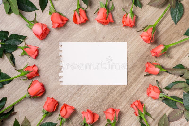 Red Roses with a Blank Note Stock Photo - Image of greeting, life: 70938410