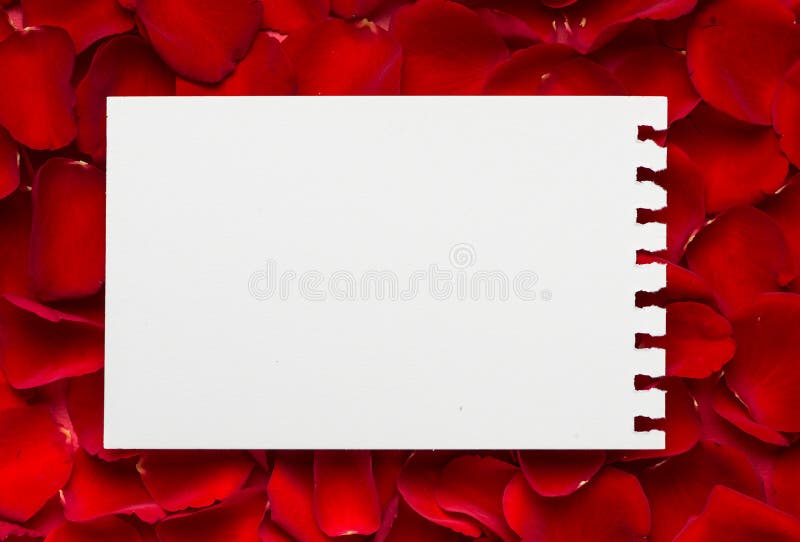 Red Roses with a Blank Note Stock Photo - Image of lovely, bloom: 70873824