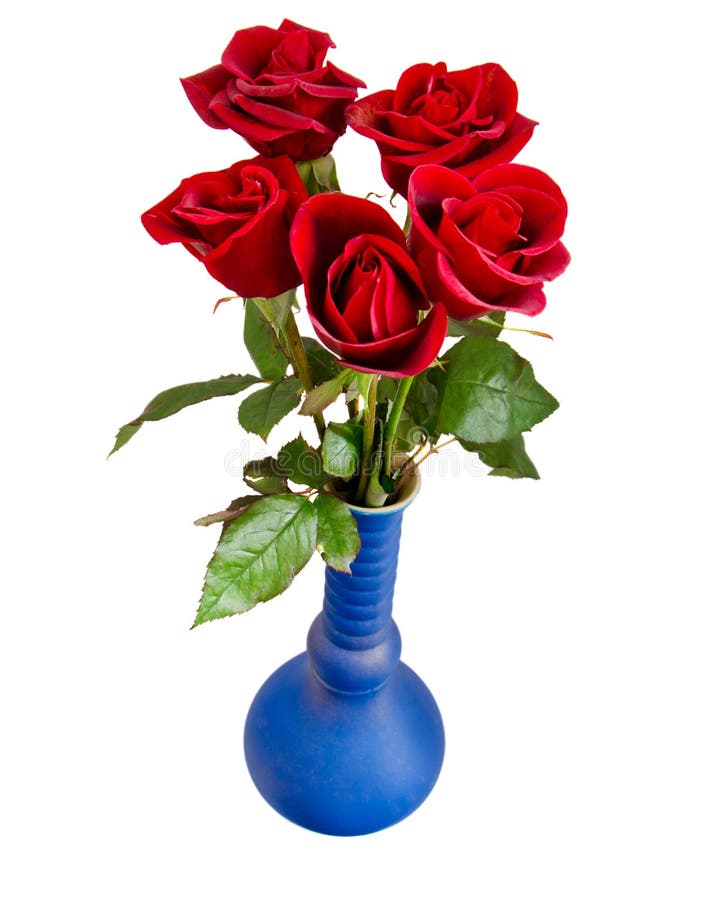 Red roses in blue vase stock image. Image of beauty, romantic - 22788781