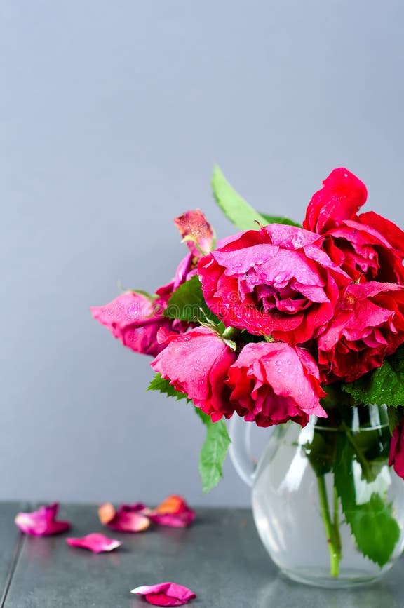 Red roses on a Board stock photo. Image of leaf, garden - 73346180