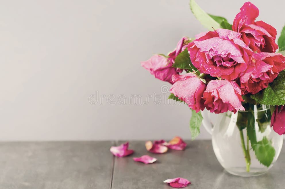 Red roses on a Board stock photo. Image of bloom, gift - 73404882