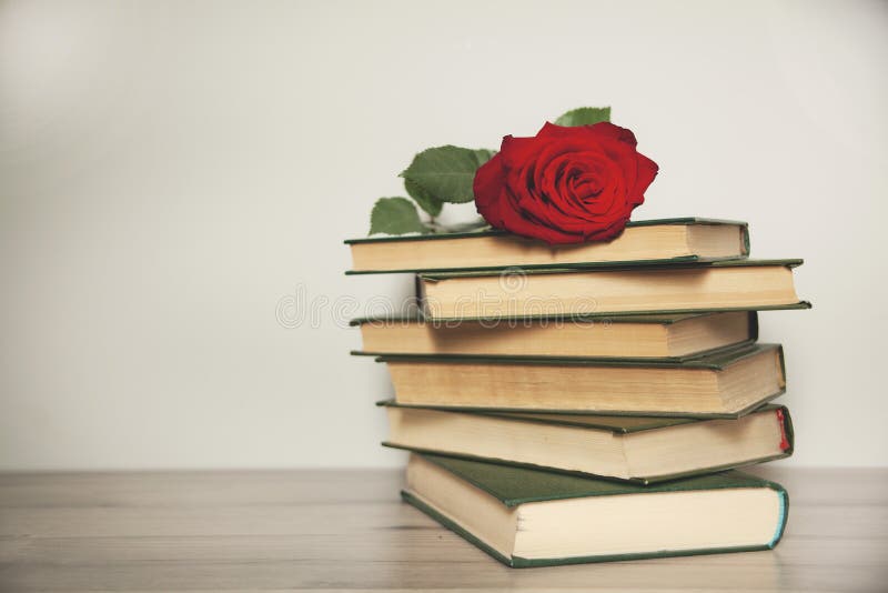 Red roses on the book stock photo. Image of aroma, gift - 217118894