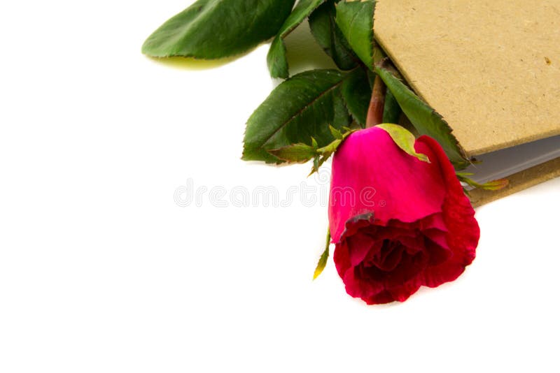 Red roses with book stock image. Image of gift, isolation - 50024329