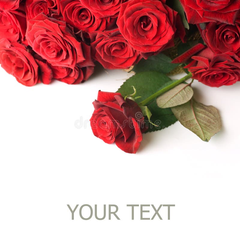 190+ Red roses border Free Stock Photos - StockFreeImages
