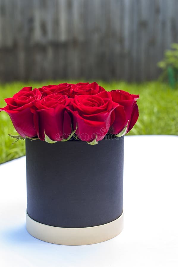 Red Roses Bouquet in Black Gift Box Stock Image - Image of petal ...