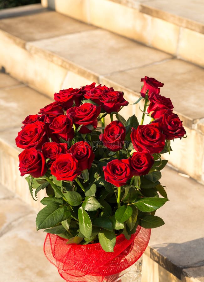 Red roses stock photo. Image of close, beautiful, fresh - 68315652