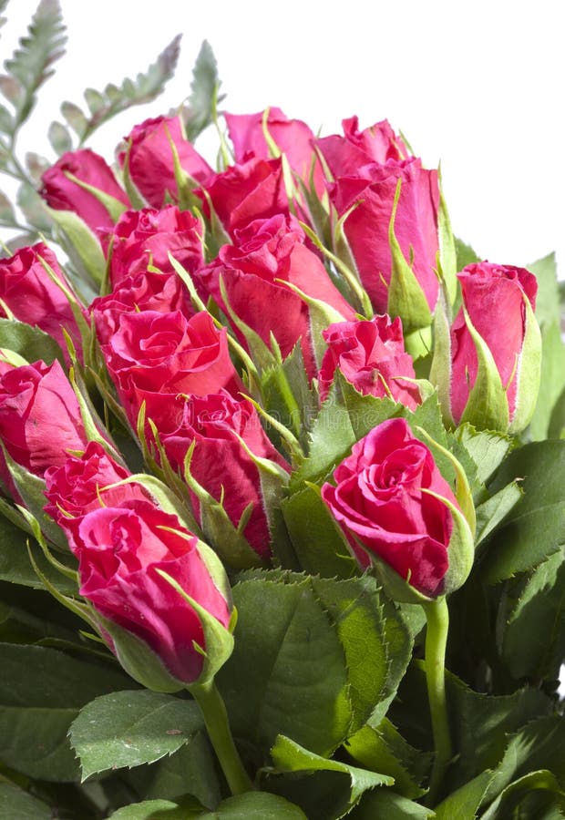 Red roses bouquet stock image. Image of anniversary, beauty - 52805883