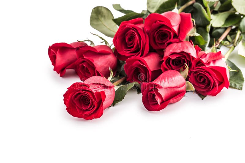 Red Roses. Bouquet of Red Roses Isolated on White Stock Image - Image ...