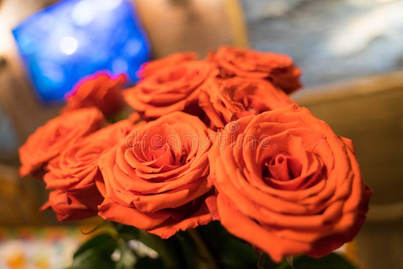 Red Roses in a Bouquet Stand in a Vase Stock Photo - Image of ...
