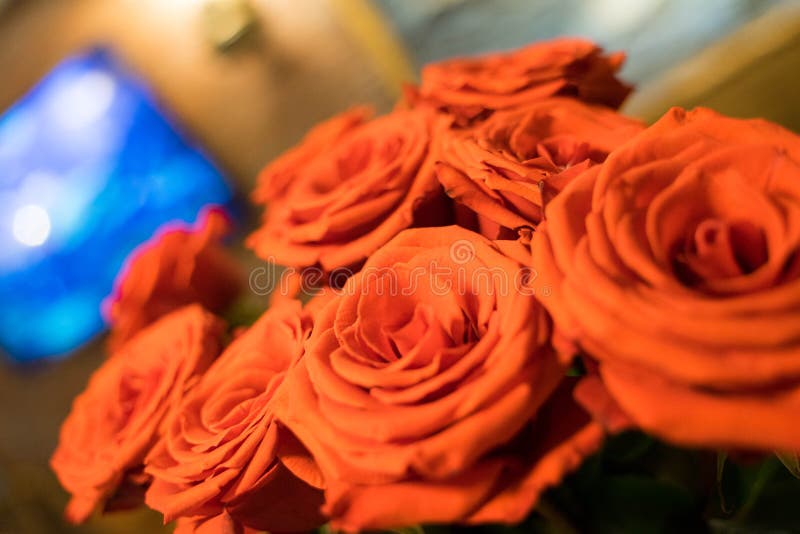 Red Roses in a Bouquet Stand in a Vase Stock Photo - Image of ...