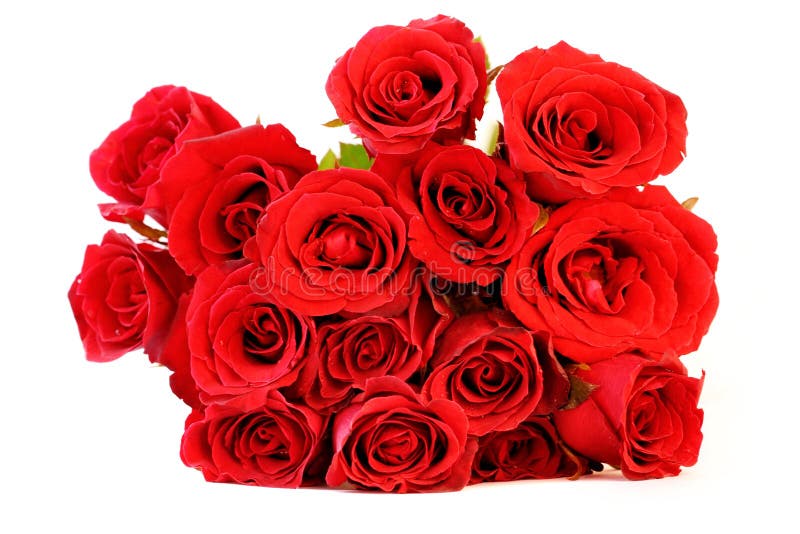 Red Roses Bouquet On White Background Stock Image - Image of plant ...