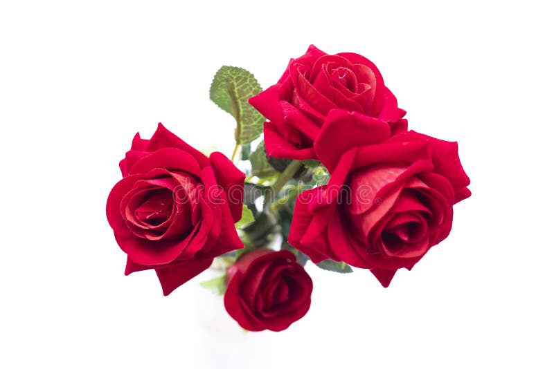 Red Roses Bouquet on White Background Stock Image - Image of romance ...