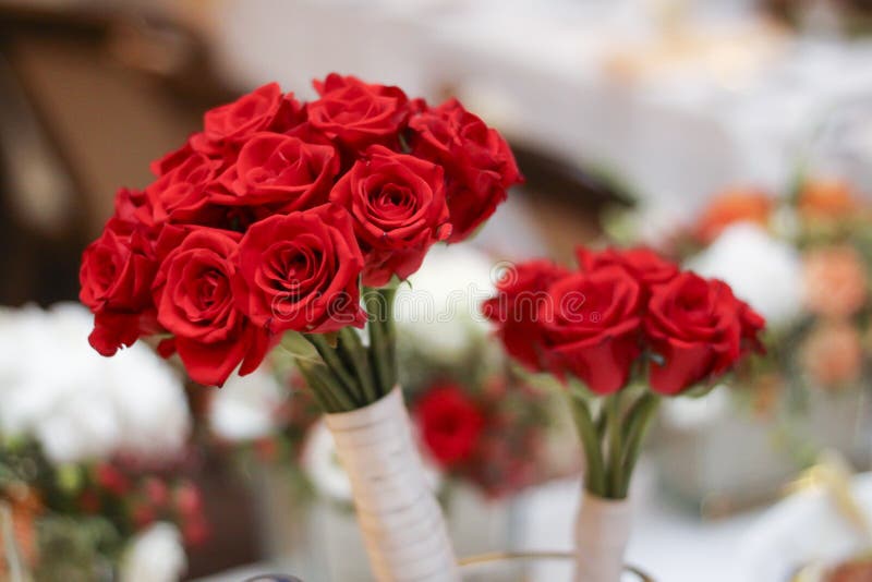 Red roses stock photo. Image of fragrant, beautiful, feeling - 66532222