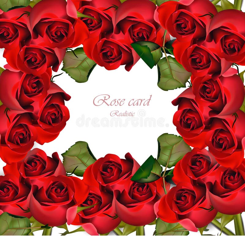 Red Roses Card Vector. Valentine Day Romantic Illustrations Stock ...