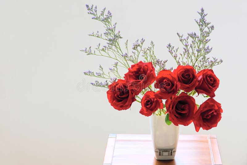 Red roses stock image. Image of rugosa, backlighting - 111465879