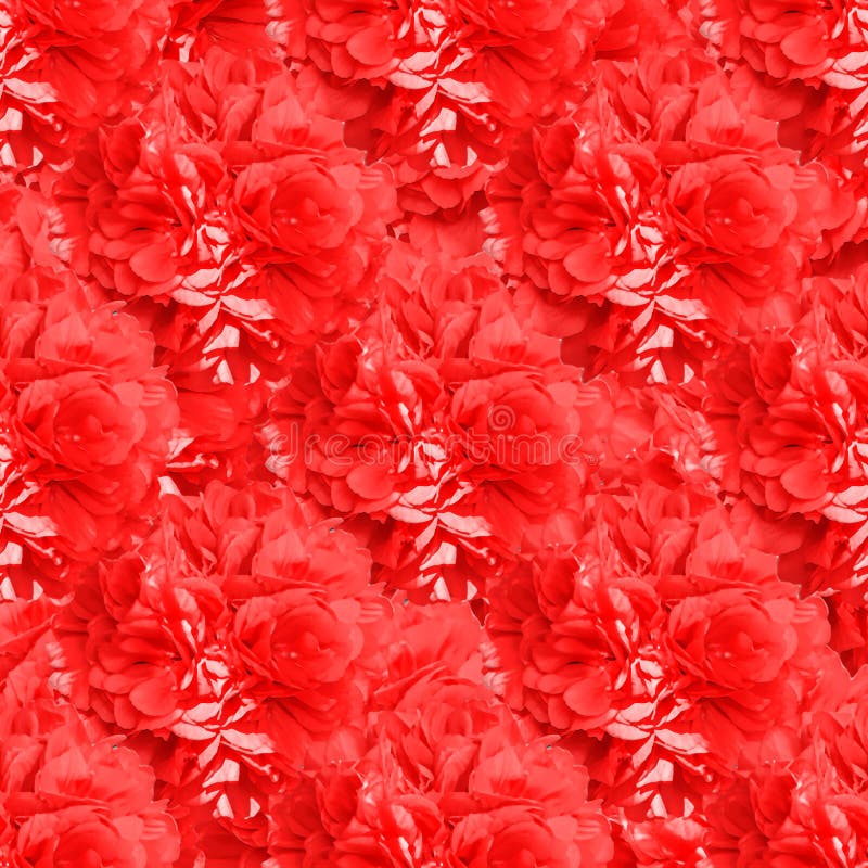 Red Roses Collage Seamless Pattern Stock Photo - Image of petals ...