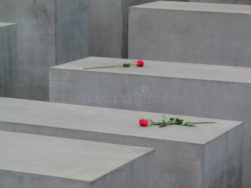 Red Roses on Concrete Block Symbolic Graves Editorial Stock Image ...
