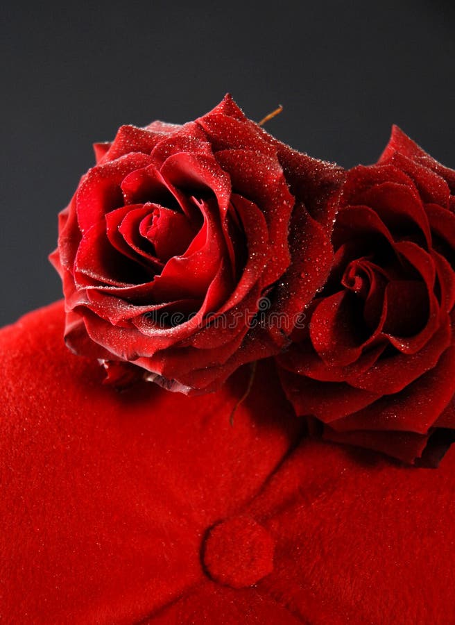 Red Roses on Cushion. stock photo. Image of still, life - 4059392