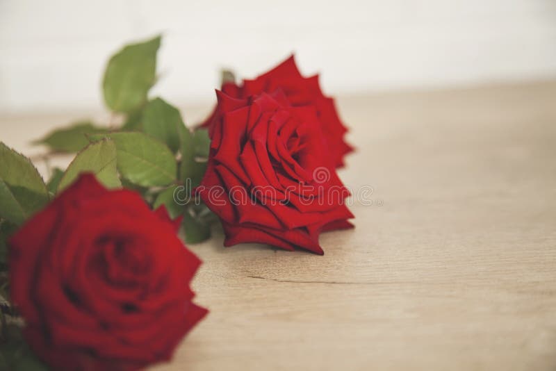 Red roses on desk stock photo. Image of desk, space - 175913142