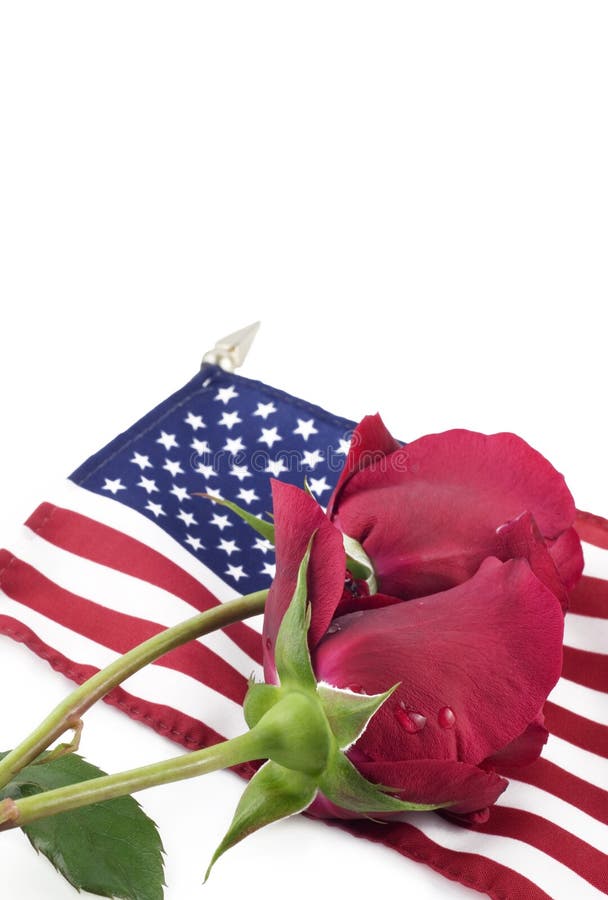 Red Roses On A Flag stock photo. Image of patriotic, fourth - 12956470
