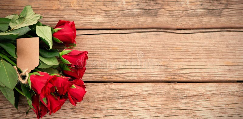 Red roses stock image. Image of leaves, closeness, looking - 84936537