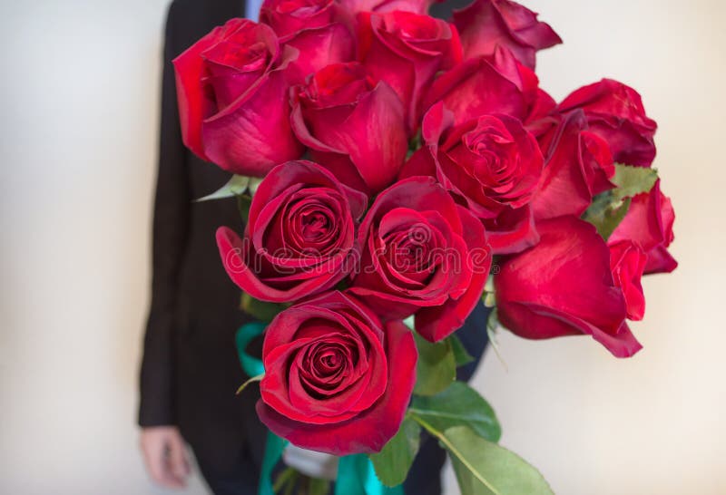 Red roses flower gift stock photo. Image of standing - 86283318