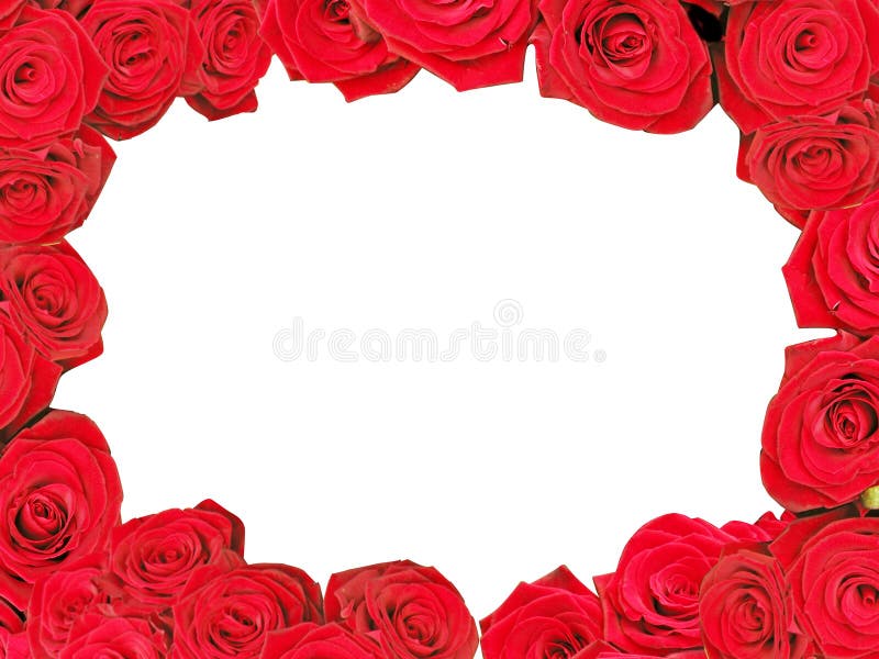 Red roses frame stock image. Image of love, colorful, design - 5261013