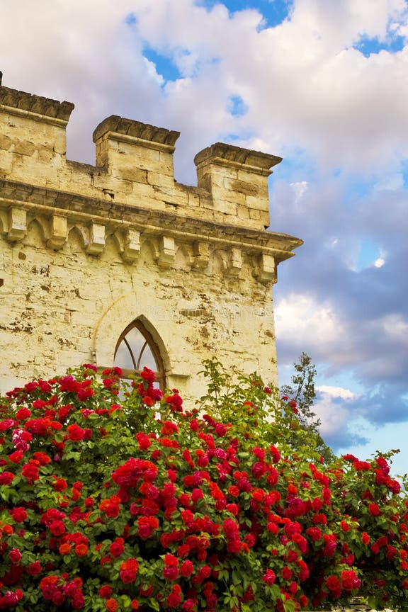 Red Roses in Front of Castle Stock Image - Image of historic, blooming ...