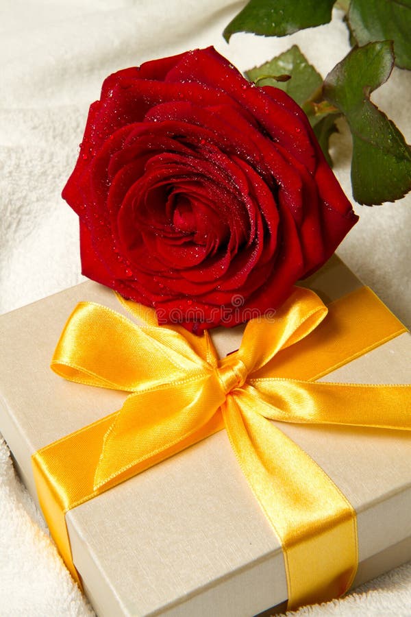 Red roses and gift box stock image. Image of fresh, lovely - 17975017