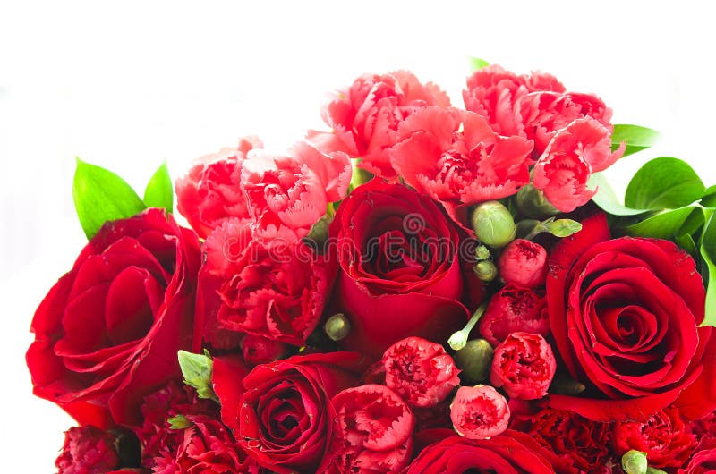 Red roses stock image. Image of birthday, bunch, love - 49960955