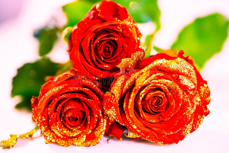 Red Roses with Glitter in Snow, Postcard Stock Image - Image of gold ...