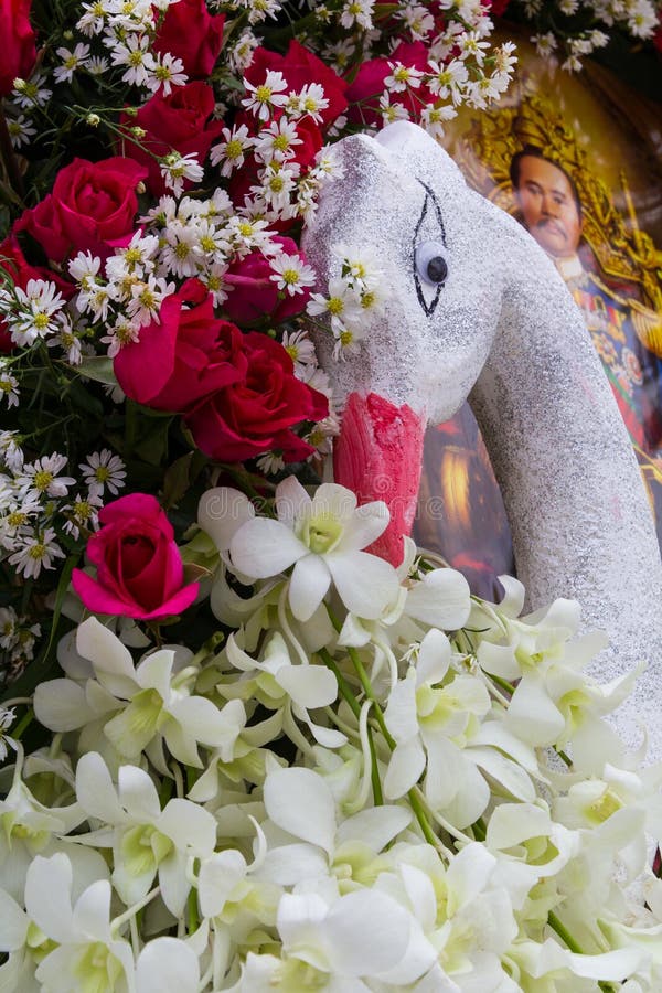 Red roses goose stock photo. Image of adorned, heart - 45963828