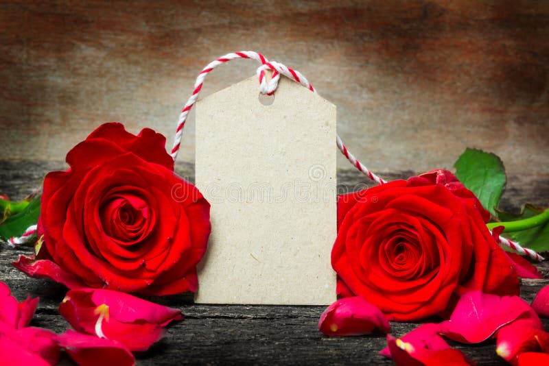 Red roses, greeting card stock image. Image of roses - 66911049