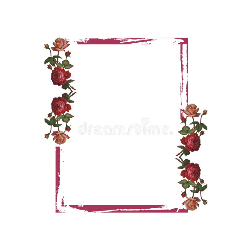 Red Roses Swirls Black Frame Stock Illustration - Illustration of ...
