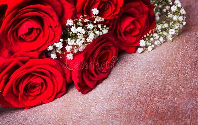 Red roses and gypsophila stock photo. Image of mother - 37643664