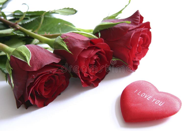 Red Roses and Heart for Valentine S Day Stock Photo - Image of bunch ...
