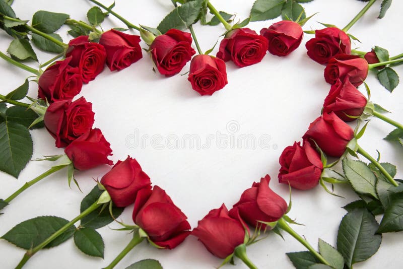 Red Roses Heart-Shaped on White Background Stock Image - Image of ...