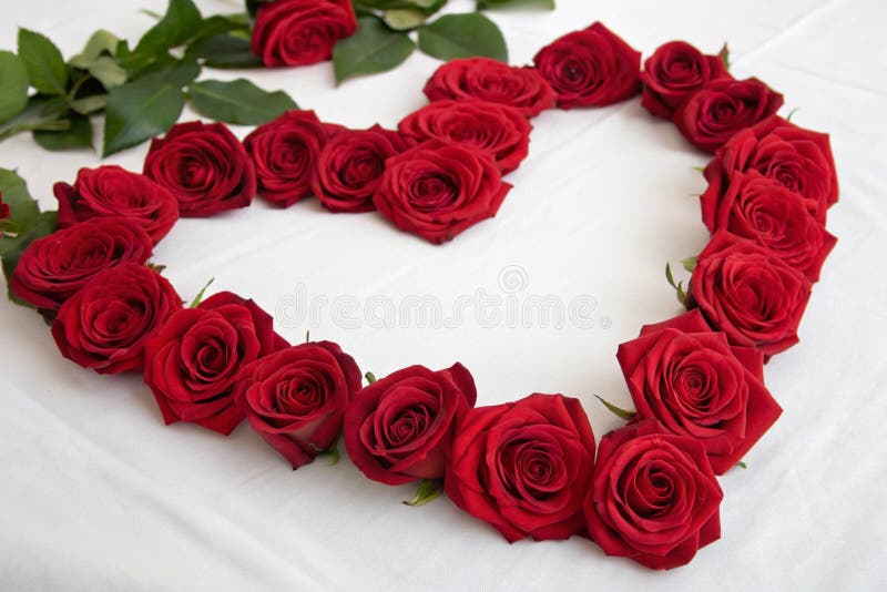 Red Roses Heart-Shaped on White Background Stock Image - Image of roses ...