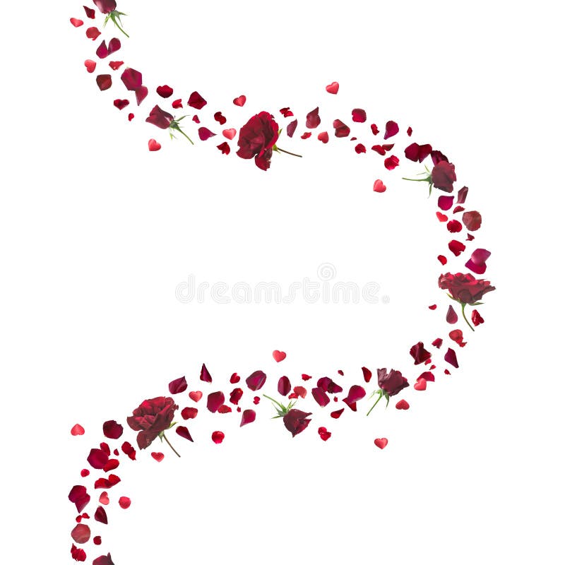 Red Roses and Hearts Curve stock illustration. Illustration of botanic ...