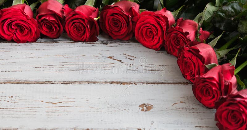 Red Roses Holiday Background on White Rustic Wooden Background Stock ...