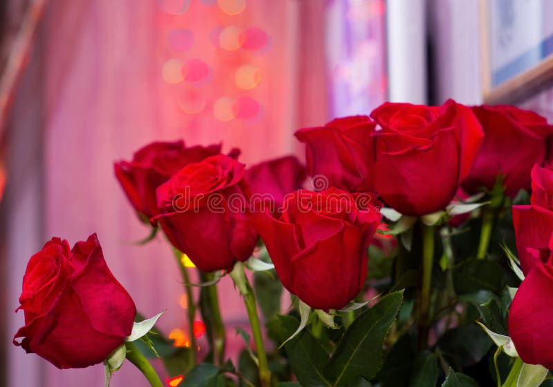 Red Roses by the House stock photo. Image of lithuania - 153488750