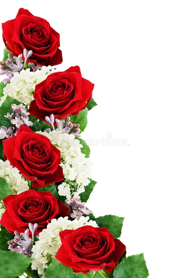 Red Roses, Hydrangea and Lilac Flowers Stock Photo - Image of ...