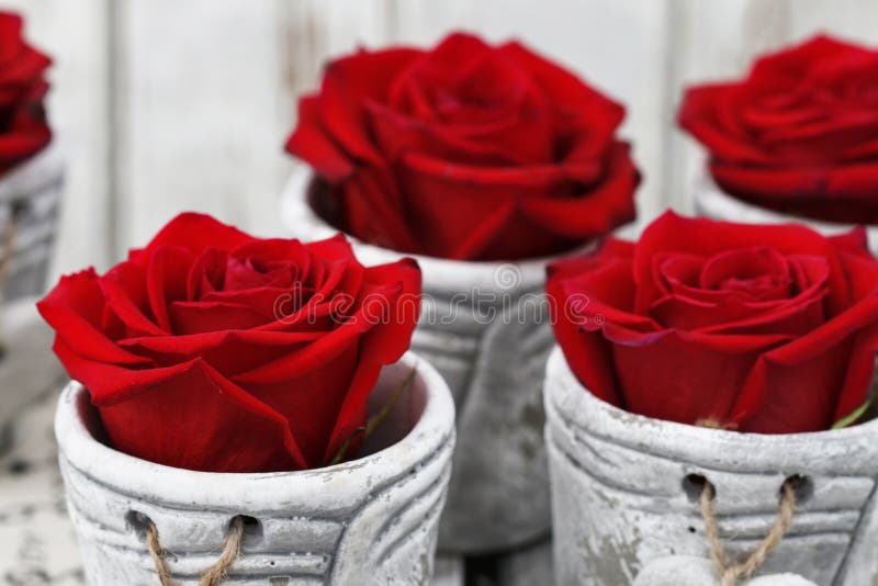 Red Roses Inside the Ceramic Pots. Romantic Decor Stock Photo - Image ...