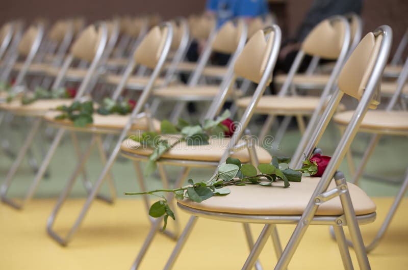 Red Roses Lie on Empty Chairs Stock Photo - Image of flower, event ...
