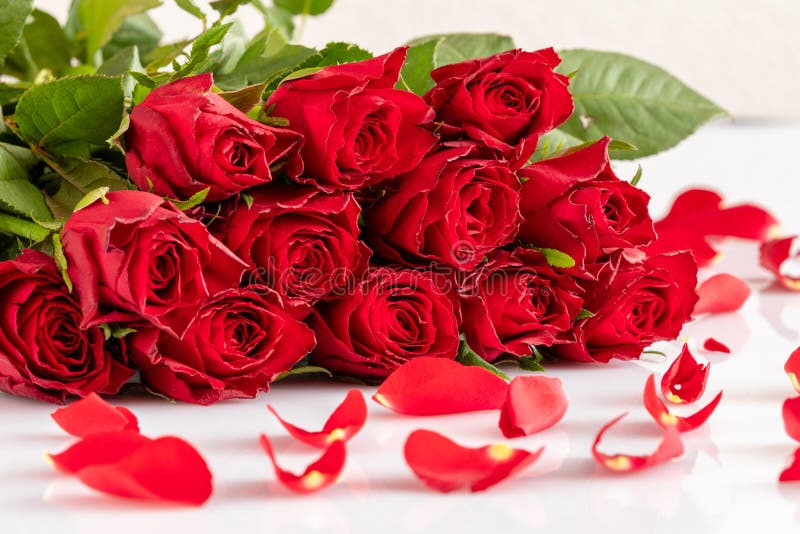 Red roses for love stock image. Image of mothers, greeting - 146718645