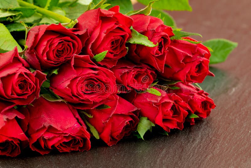 Red roses for love stock image. Image of card, rosales - 146719267