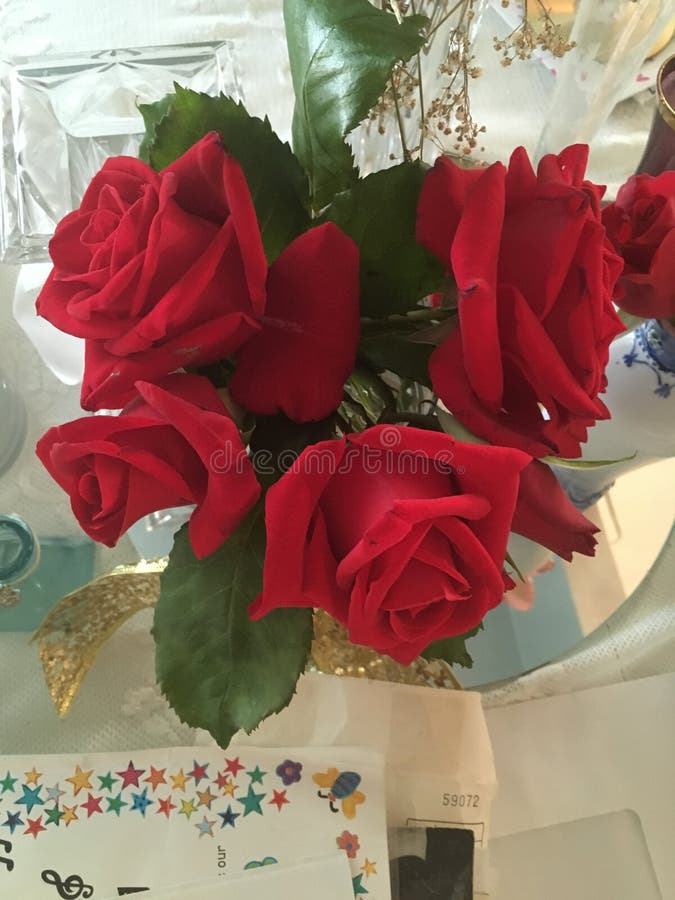 Red Roses of love stock photo. Image of roses, flowers - 156681722