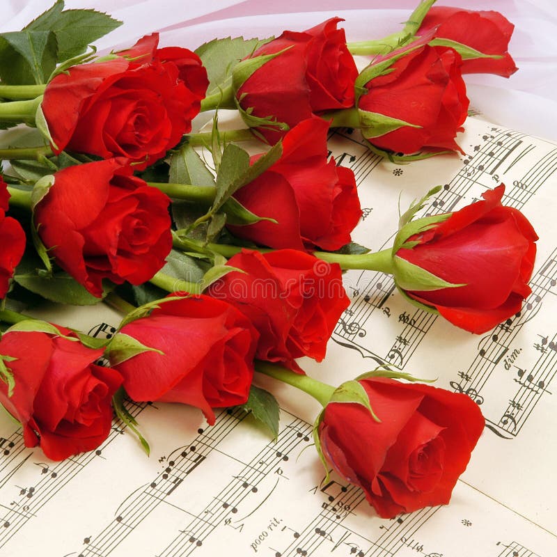 Red roses on music score. stock photo. Image of rose - 54473592