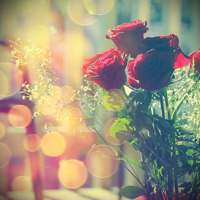 Beautiful Blooming Red Roses in Spring, Climbing a Sunny Facade of a ...